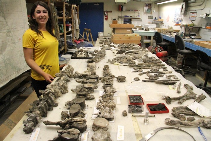 Digging for Fossils at the Canadian Fossil Discovery Centre | BCRobyn