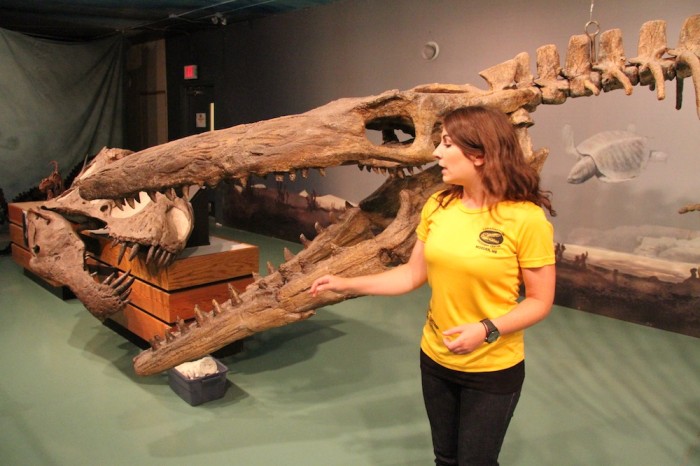 Digging for Fossils at the Canadian Fossil Discovery Centre | BCRobyn