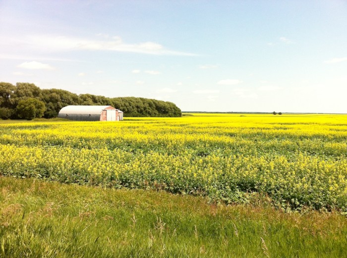 Adventures in Pembina Valley, Manitoba | BCRobyn
