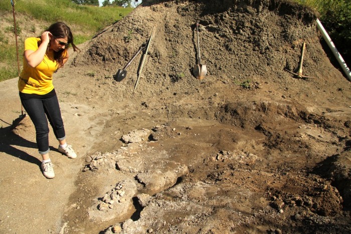 Digging for Fossils at the Canadian Fossil Discovery Centre | BCRobyn
