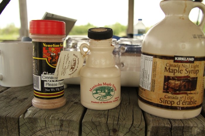 From Birds to Bison: A Day of Winnipeg Nature | BCRobyn