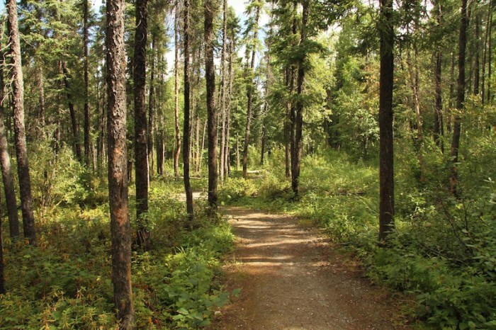 Top 5 Things to do in Thompson, Manitoba