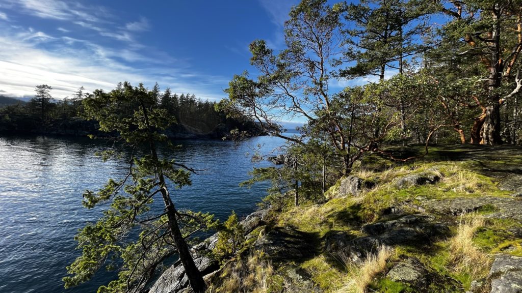 Dream Day: Hiking Smuggler Cove on the Sunshine Coast - BCRobyn