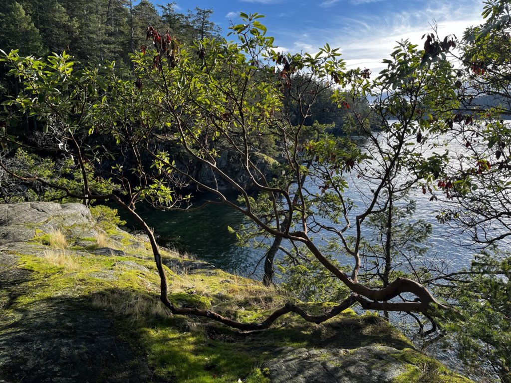 Dream Day: Hiking Smuggler Cove on the Sunshine Coast - BCRobyn