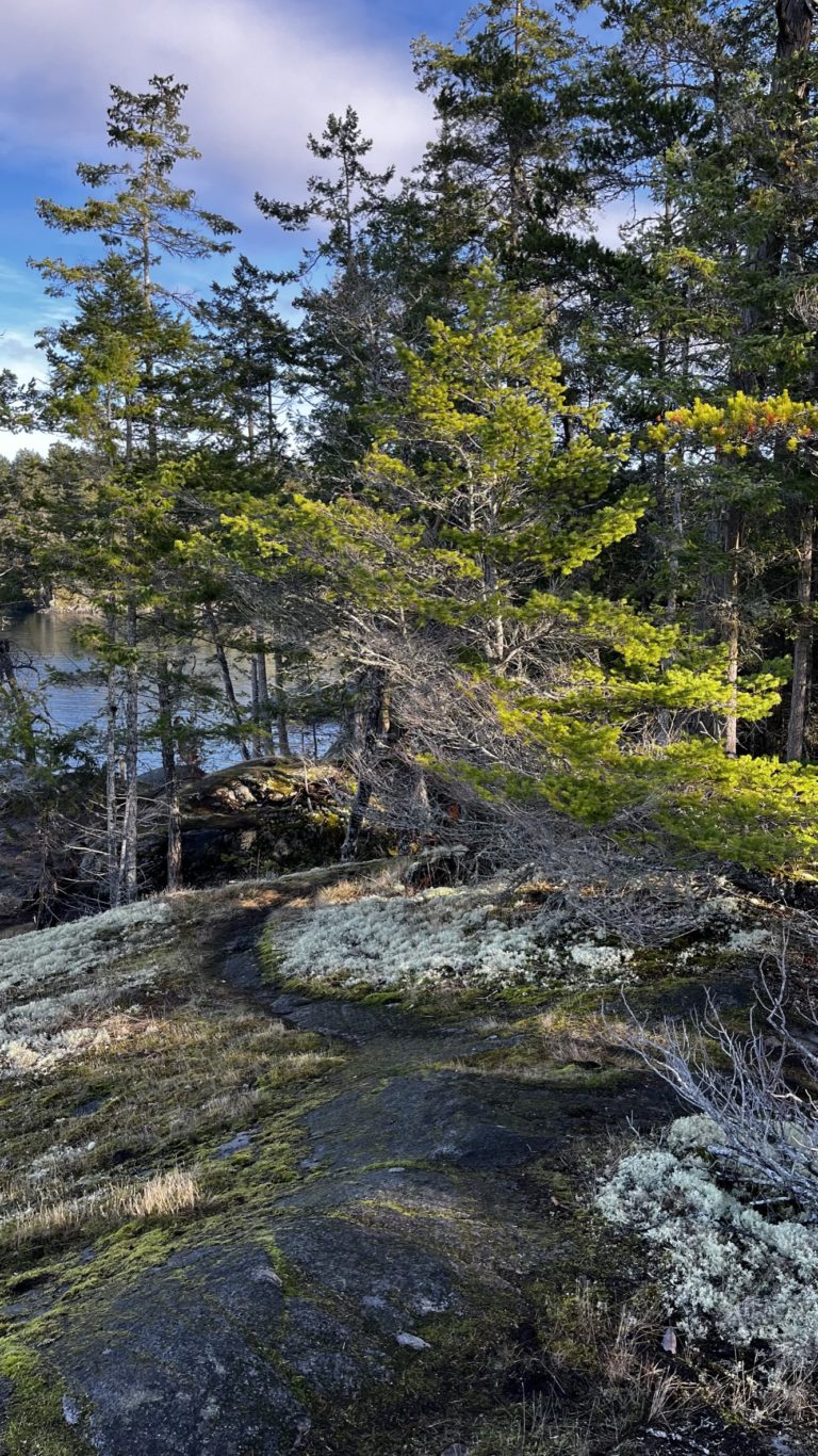 Dream Day: Hiking Smuggler Cove on the Sunshine Coast - BCRobyn